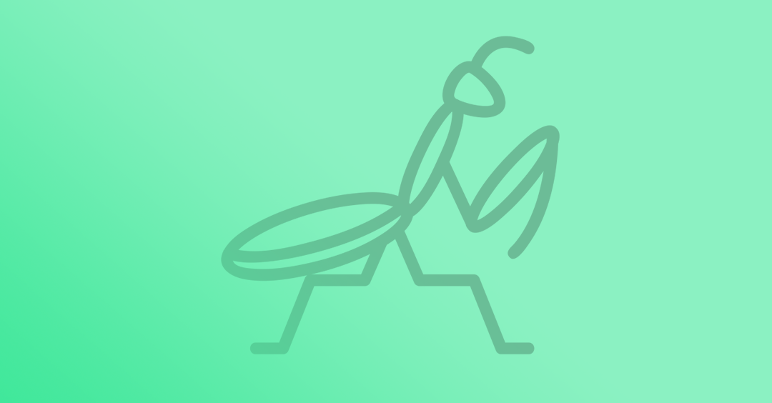 Inside a Sophisticated Cyberattack – Praying Mantis | ISTARI